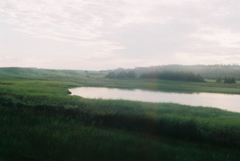 About - Spencer Overgaard, Psychotherapist for Individuals